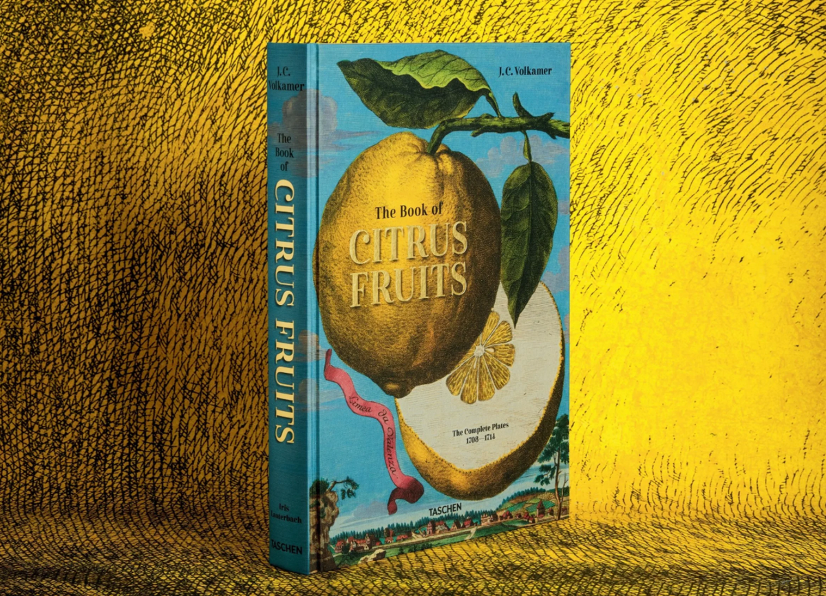 J. C. Volkamer. The Book of Citrus Fruits – Lee's Paperie